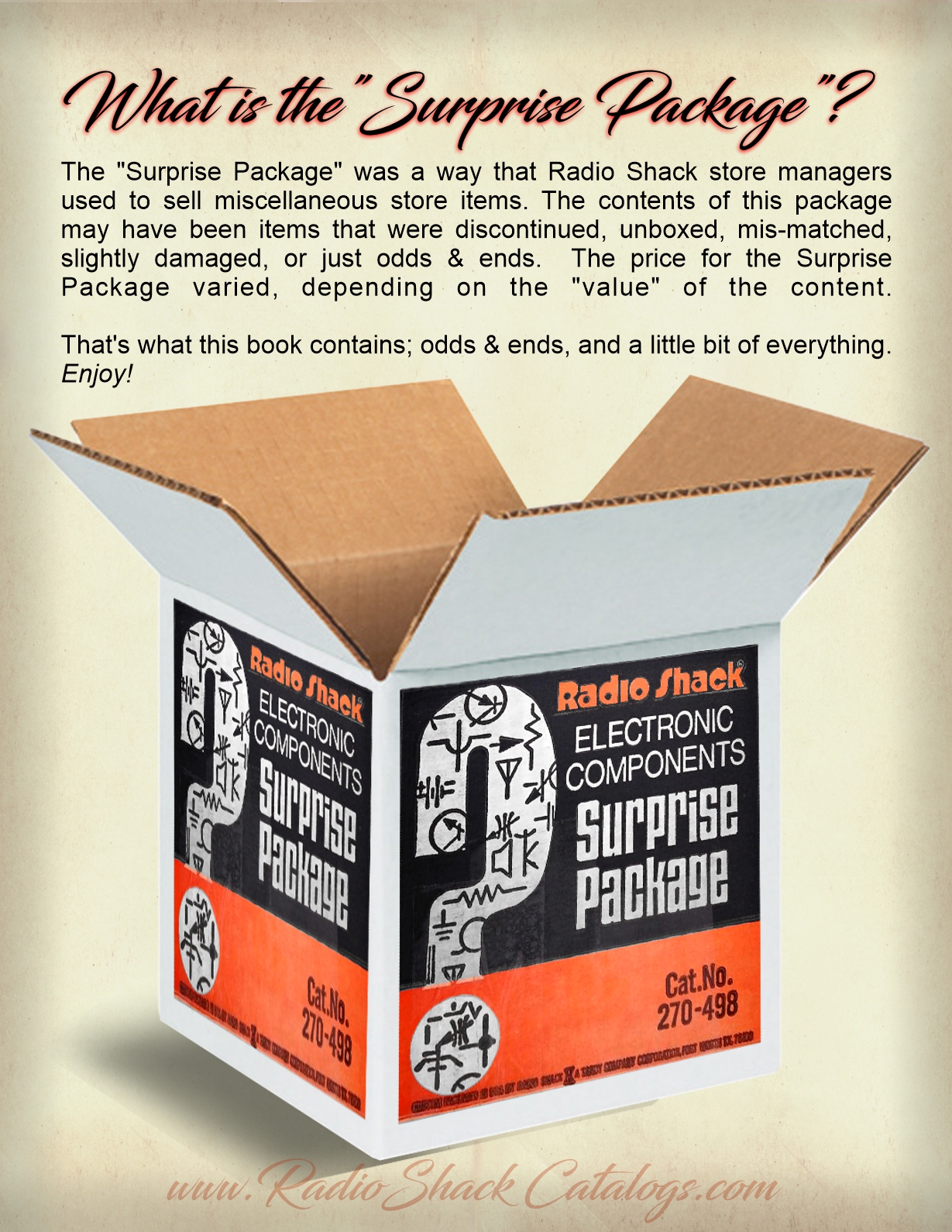 Radio Shack "Surprise Package" - A little bit of Everything Radio Shack